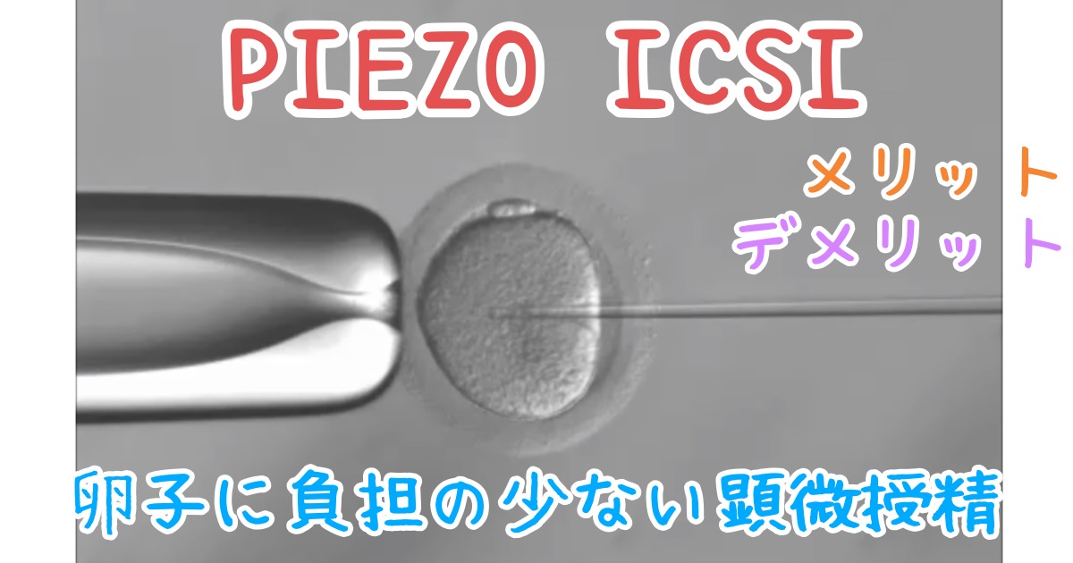 PIEZO ICSI(ピエゾ イクシー)【顕微授精】 | 岩城産婦人科妊活ブログ